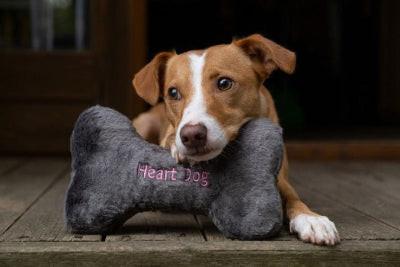 Fluff & Tuff Heart Dog Bone | Paws & Purrs Barkery & Boutique